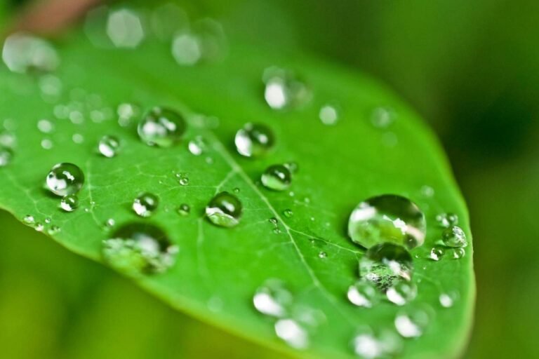 What is Dew Point: Process, Significant & Their Effects