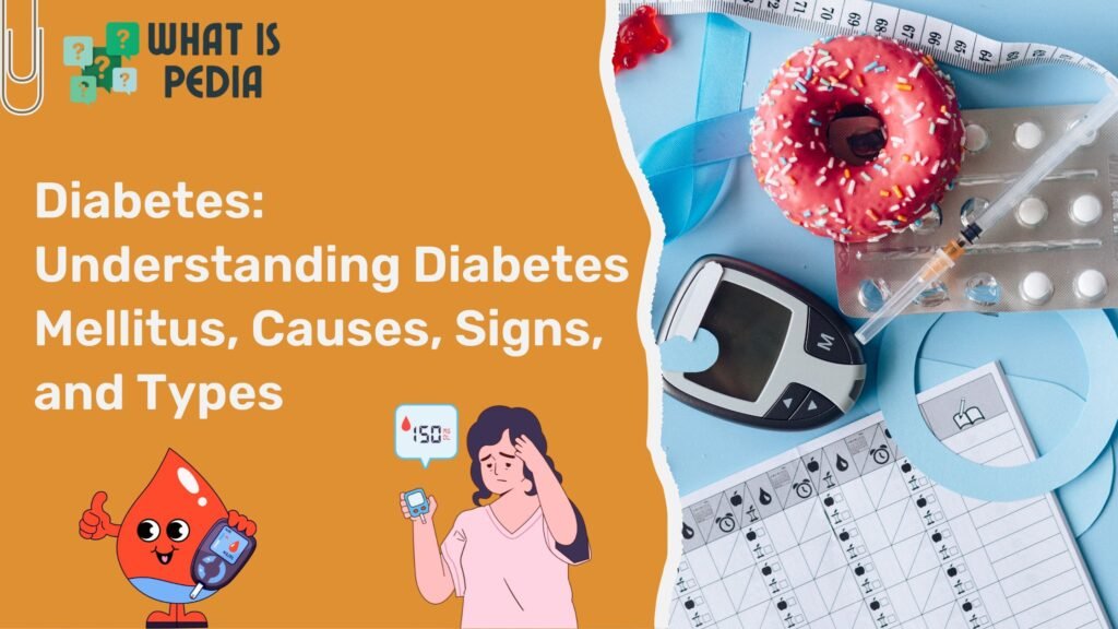 Diabetes: Causes, Signs & Types Explained