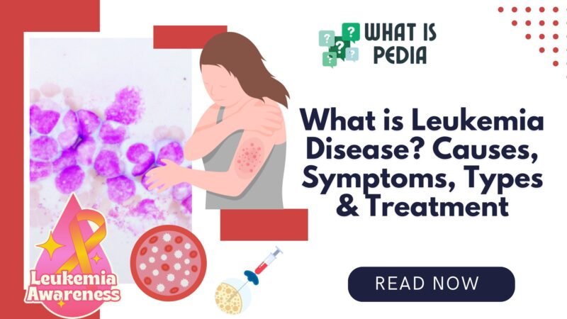 What is Leukemia Disease? Causes & Treatment