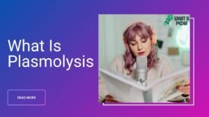 What is Plasmolysis: Definition, Process, and Examples
