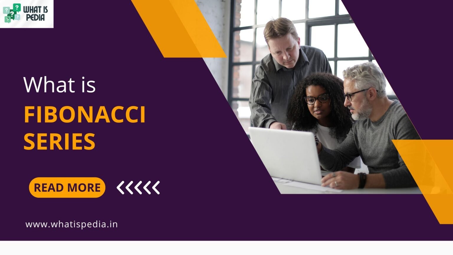 what is fibonacci series